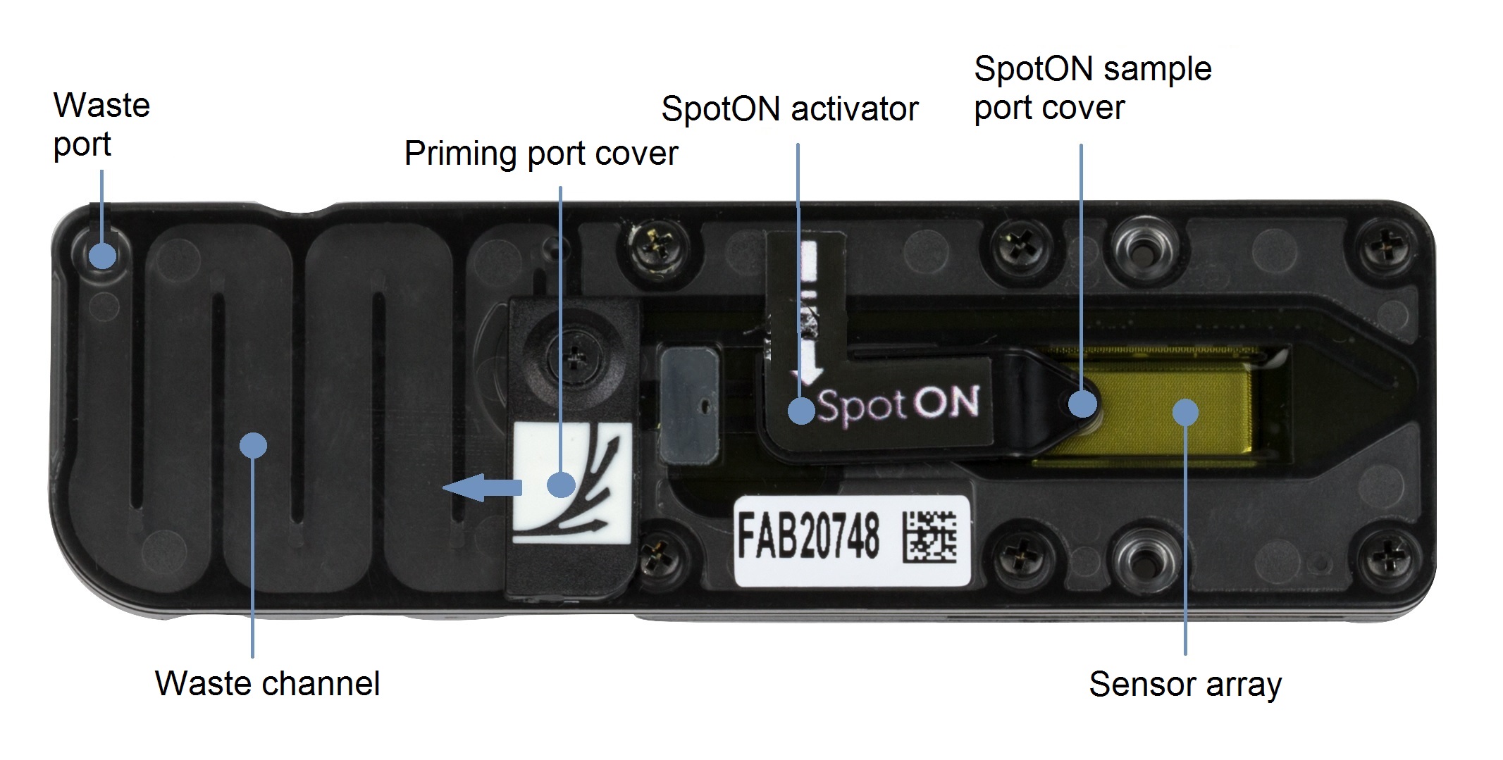 Sequenziamento Nanopore: una tecnologia innovativa - Microbiologia Italia